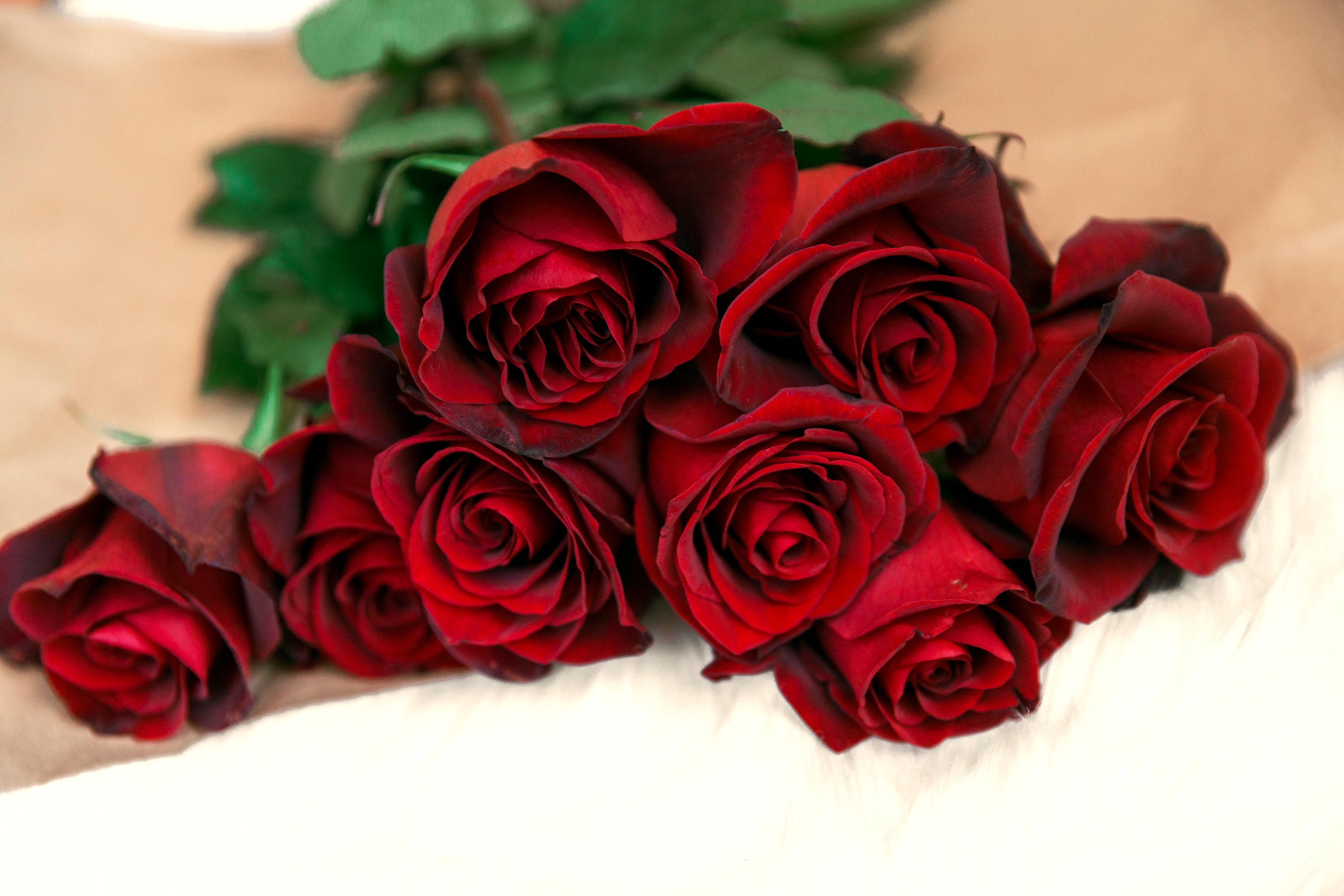 Albany Florists in NY | Blooms by Marie - Floral Arrangements ...
