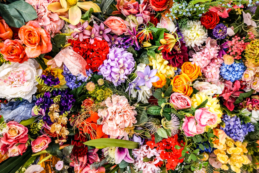 Albany Florists in NY | Blooms by Marie - Floral Arrangements ...